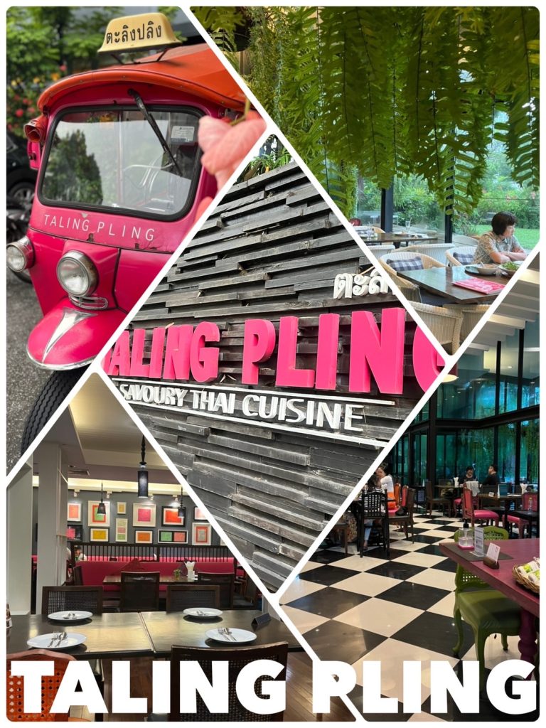 Day-4 18:30 Taling Pling – MY ELPRIMO